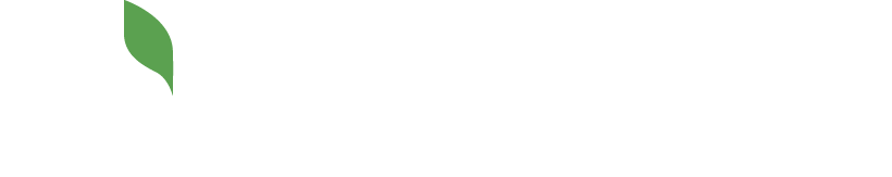 LIME KOREA – 라임아이앤티